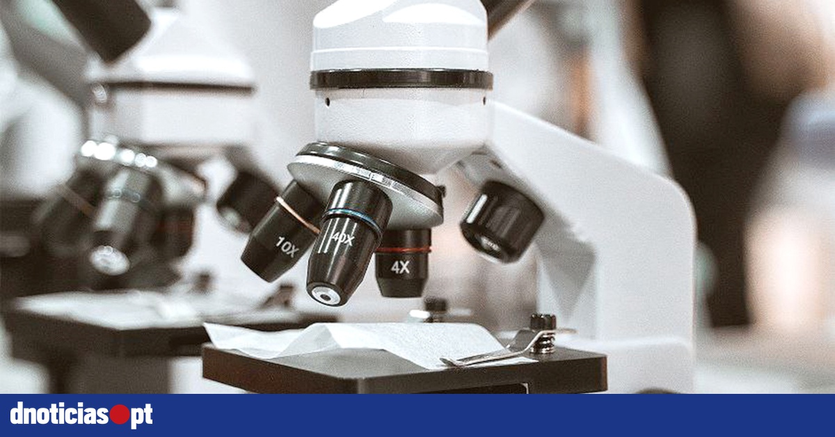 A importância dos microscópios — DNOTICIAS.PT