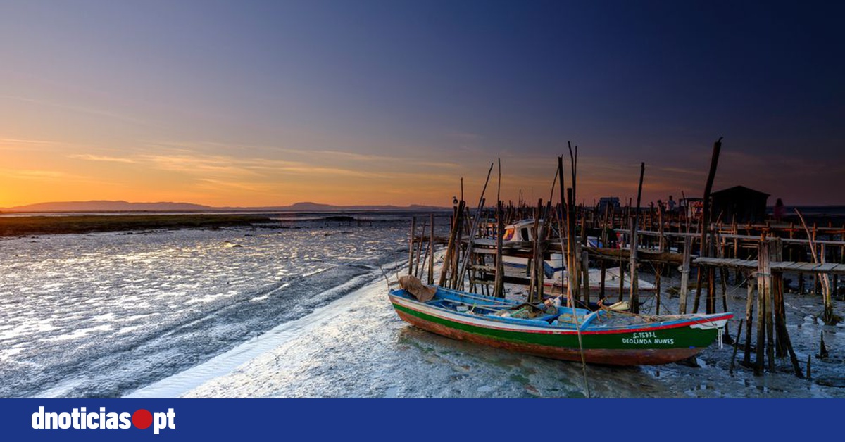 Subida do nível do mar pode afetar recursos alimentares disponíveis nos ...