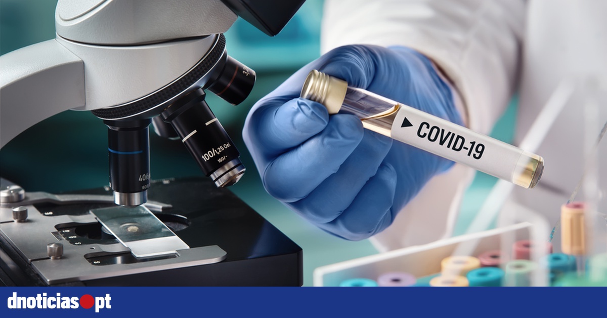 Cientistas descobrem potencial tratamento antiviral — DNOTICIAS.PT