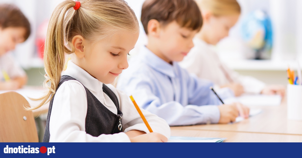 Ensino básico perdeu 170 mil alunos numa década — DNOTICIAS.PT