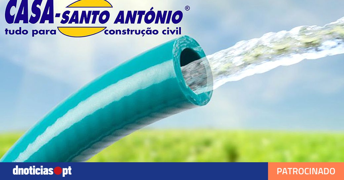 Descubra a melhor solução para regar o seu jardim — DNOTICIAS.PT