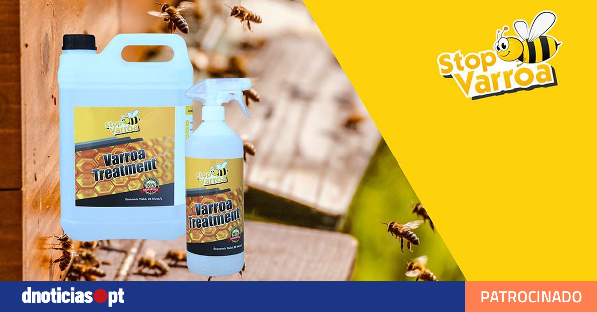 Stop Varroa: o melhor tratamento antivarroa revelado — DNOTICIAS.PT