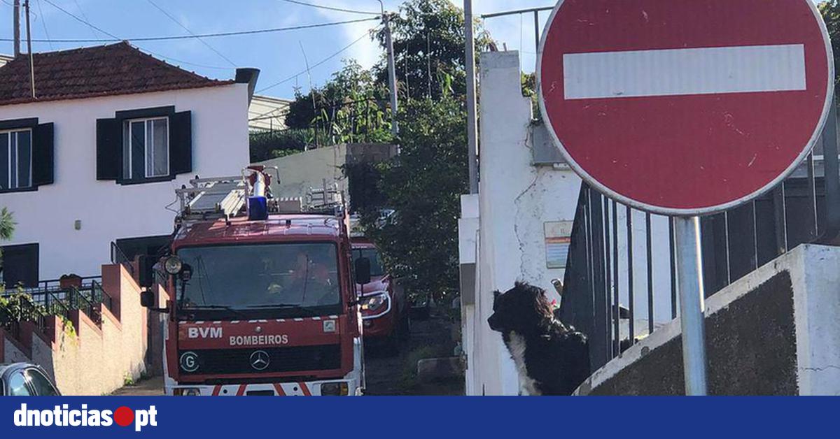 Alerta para explosão no Funchal não passou de falso alarme — dnoticias.pt