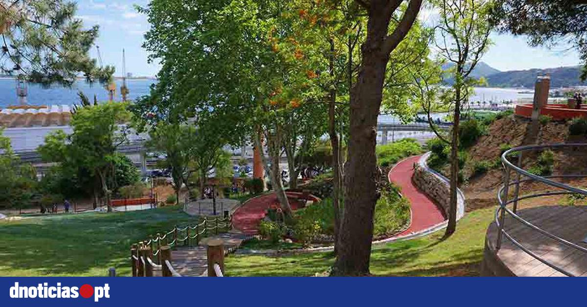 Parque multigeracional e jardim sensorial entre vencedores do orçamento ...