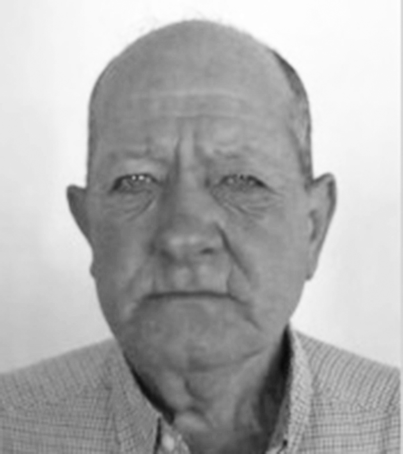 João Baptista Fernandes — DNOTICIAS.PT