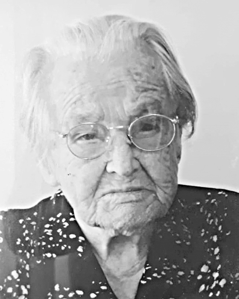 Joana Pires Fernandes — DNOTICIAS.PT