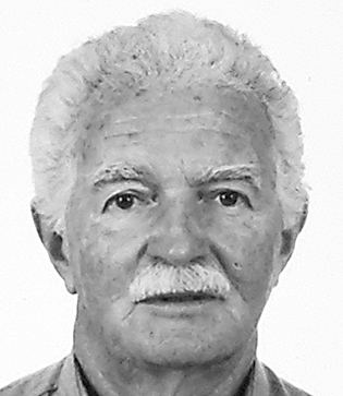 José Rodrigues Capelo — DNOTICIAS.PT