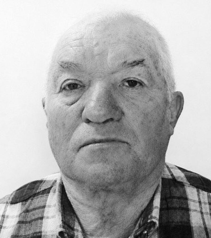 José Vieira — DNOTICIAS.PT