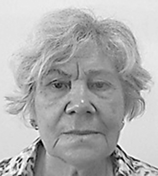 Maria Izabel Gaspar Vieira Moreira — DNOTICIAS.PT