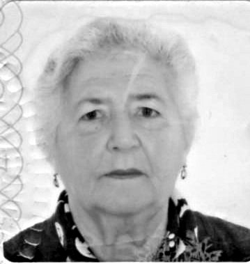 Maria Isabel Gomes Ribeiro — DNOTICIAS.PT