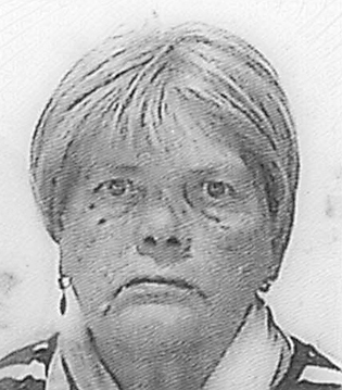 Maria Alice da Silva Correia de Sousa — DNOTICIAS.PT