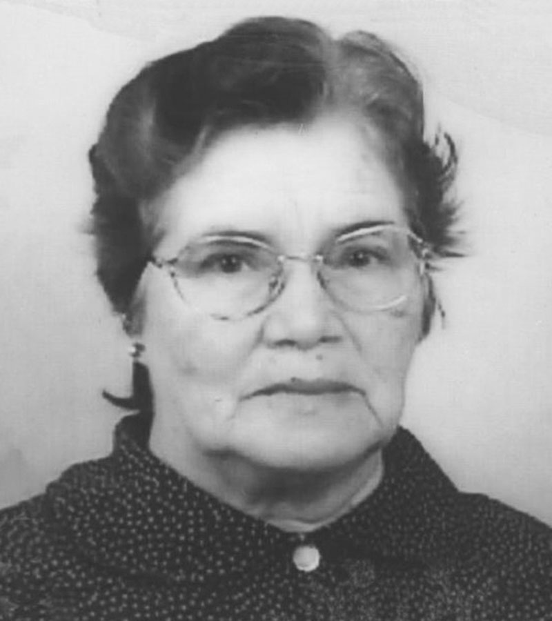 Maria Beatriz Ribeiro — DNOTICIAS.PT