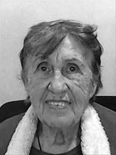 Maria José Fernandes — DNOTICIAS.PT