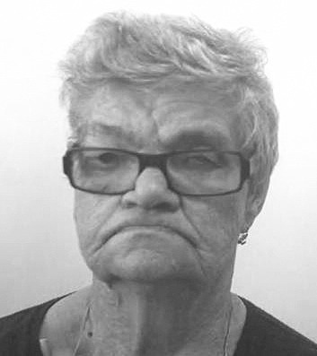 Maria José Fernandes de Nóbrega — DNOTICIAS.PT