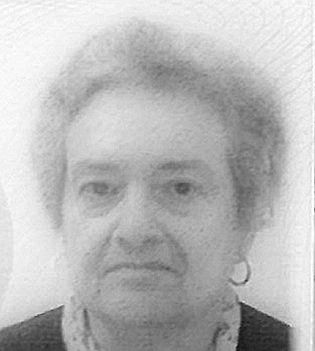 Maria Marcelina da Silva Gomes — DNOTICIAS.PT