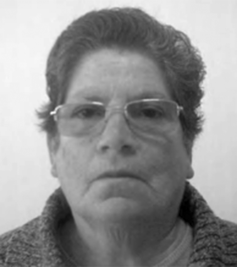 Maria de Fátima Alves Rodrigues — DNOTICIAS.PT