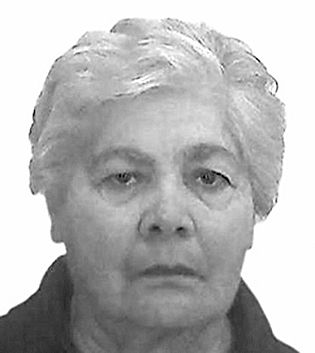 Maria José da Côrte — DNOTICIAS.PT