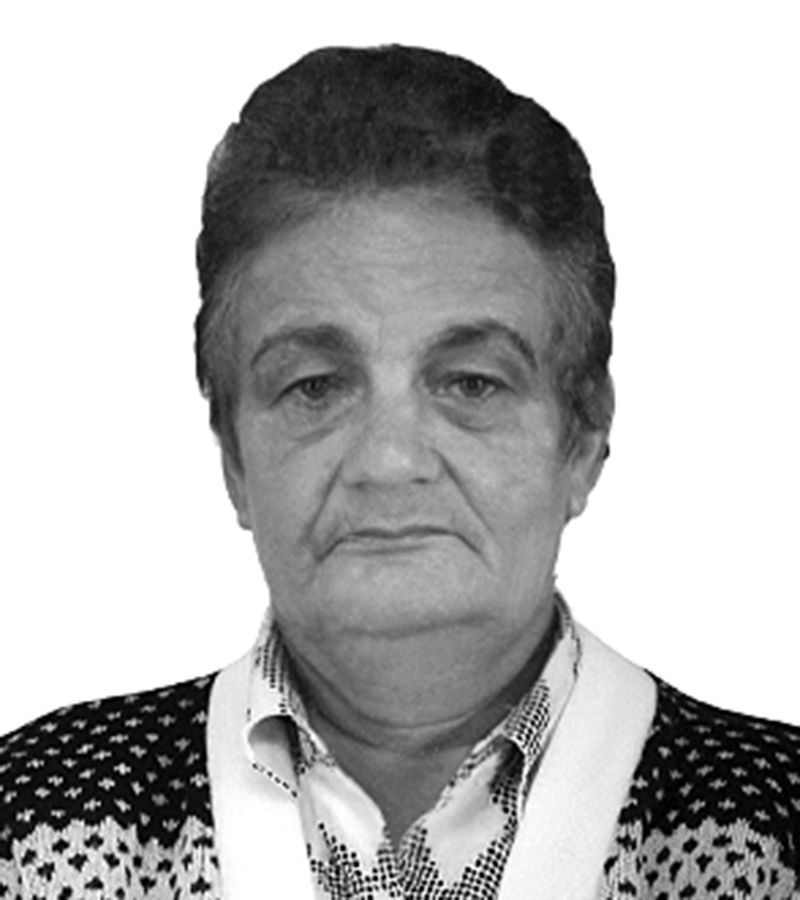 Maria José de Gouveia — DNOTICIAS.PT